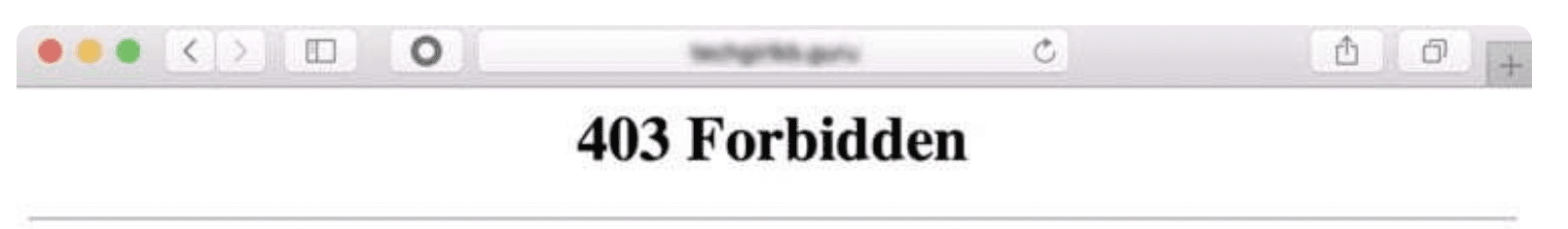 What Is The 403 Forbidden Error? How To Fix It In 2024 With 12 Proven ...