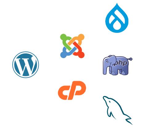 Web Hosting | Get Affordable, Fast Shared Hosting - Fast Panda